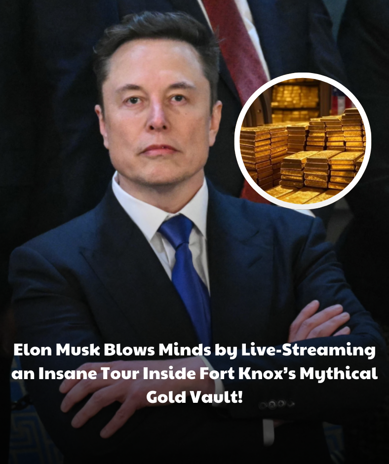 Holy Sh!t!! Elon Musk Blows Minds by Live-Streaming an Insane Tour ...