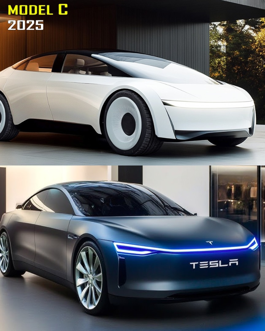 Tesla Model C 2025: Elon Musk anuncia el vehículo eléctrico ...